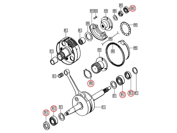 Tomos A35 / A55 engine overhaul bearing seal set small