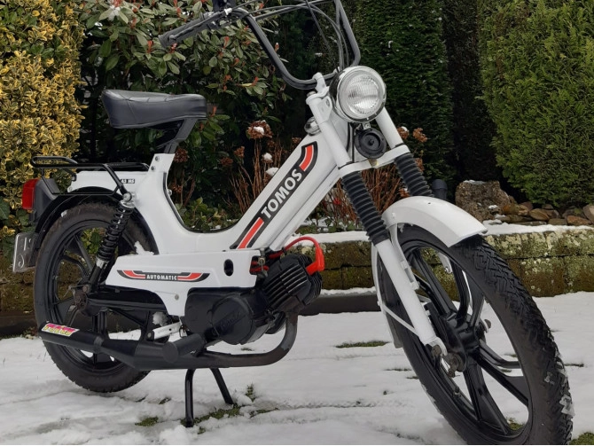 Stickerset Tomos Standard A3 MS rood / zwart / wit kopen